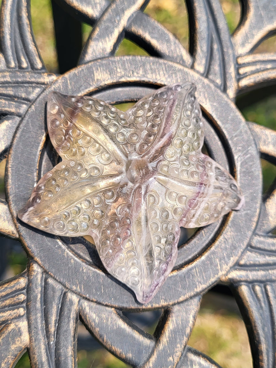 Fluorite Crystal Starfish – The Pearl of Door County